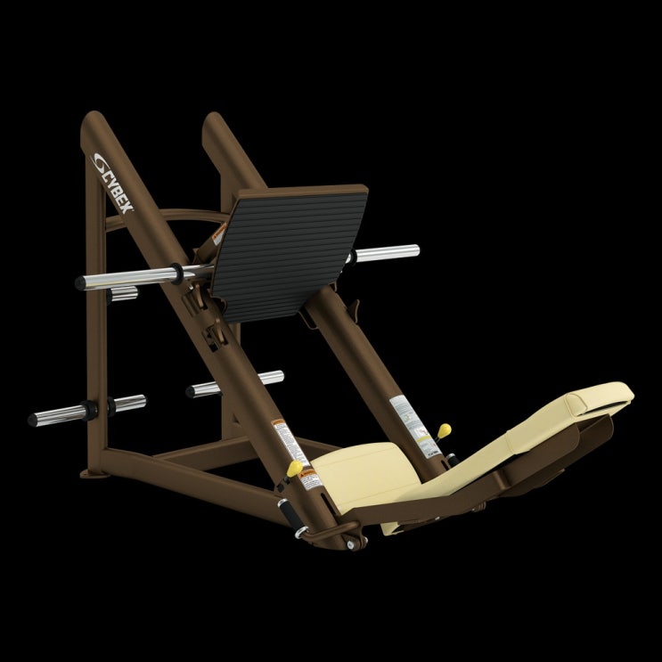 동암역 헬스장 Gym94 Cybex 머신을 소개합니다 짐94동암헬스동암pt동암피티십정동 헬스장십정동 헬스십정동pt