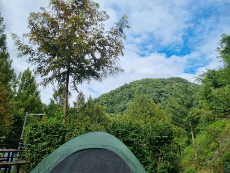 장태산자연휴양림 캠핑장 : 네이버 블로그