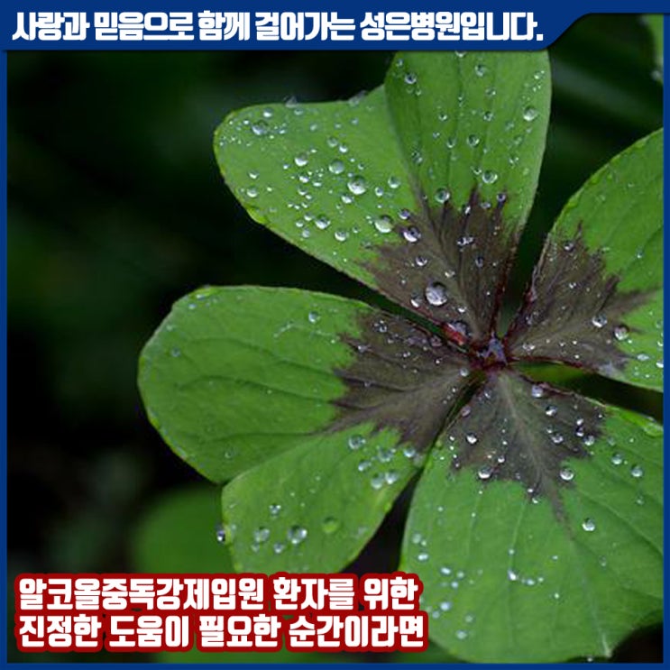 알코올중독강제입원 도움이 필요한 순간이라면 네이버 블로그