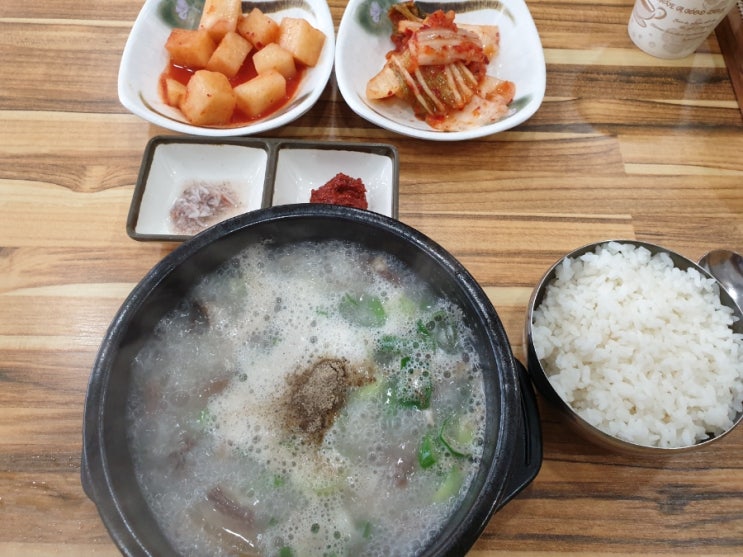 강릉지변동강릉중앙시장소머리국밥순대국밥진주식당덕산박철수교수맛집박철수교수맛집한림성심대학교수시모집방사선과입학홍보처장