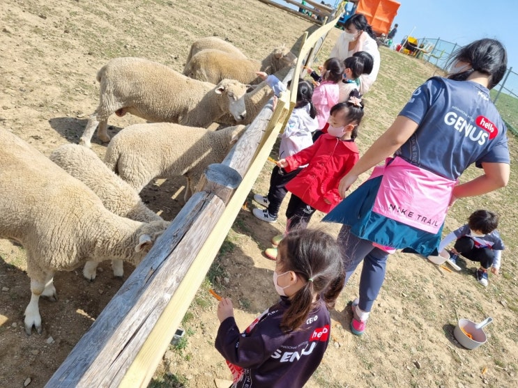 Hello Genius 견학 : 네이버 블로그