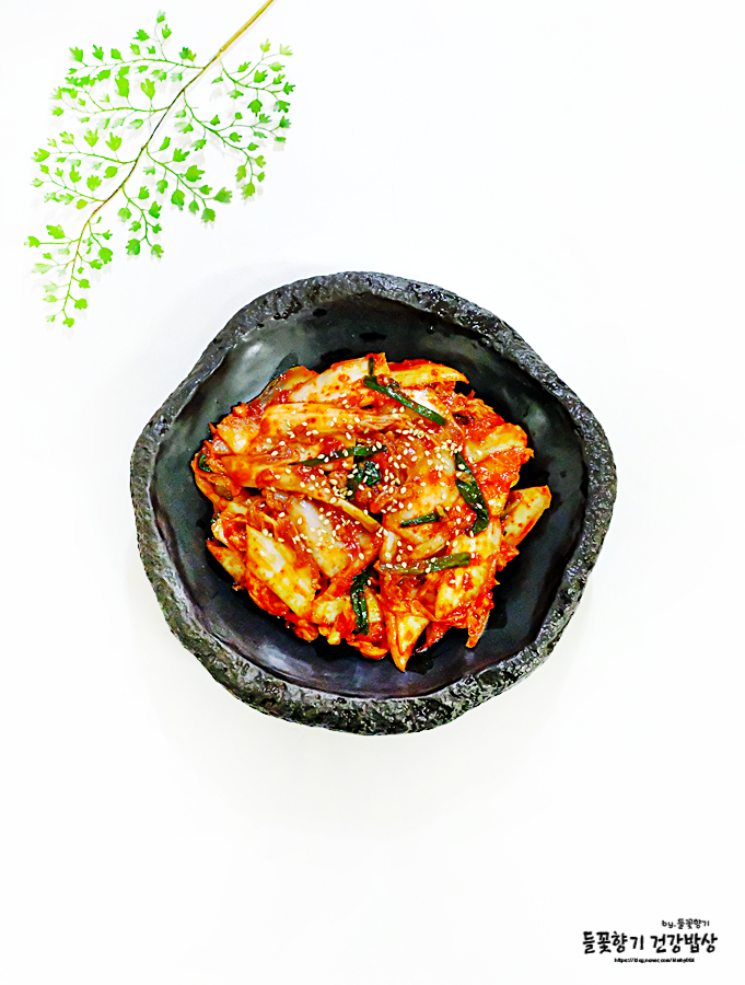알배기 배추겉절이 만드는 법 배추겉절이 레시피 여름 배추김치 담그기 네이버 블로그