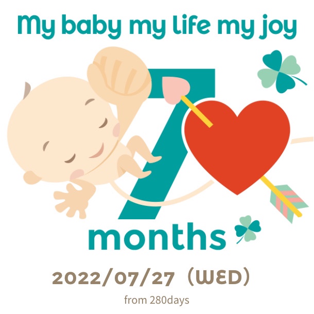임신일기 쌍둥이 임신 24주부터 27주까지 기록feat 분당차여성병원 쌍둥이 입체초음파 임신성 당뇨 검사 네이버 블로그