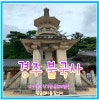경주 불국사 10년만에 다시보는 다보탑과 석가탑 황금돼지와 동궁과월지 문화재탐방 네이버 블로그