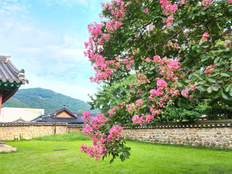 전주 당일치기 여행코스 이것만 따라오면 완벽하지 전주 볼거리 전주 놀거리 전주 먹거리 네이버 블로그