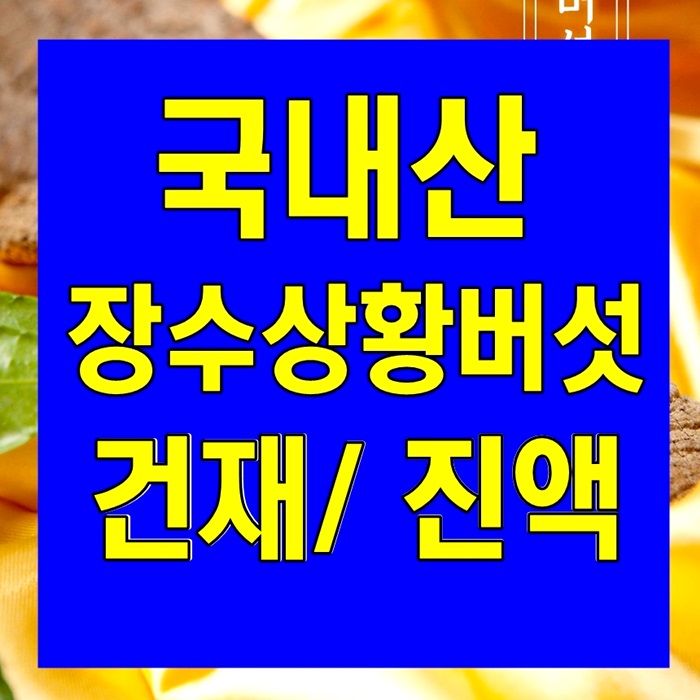 상황버섯 효능과 장수 상황버섯진액 액기스 즙 차로 먹는방법 가격 네이버 블로그