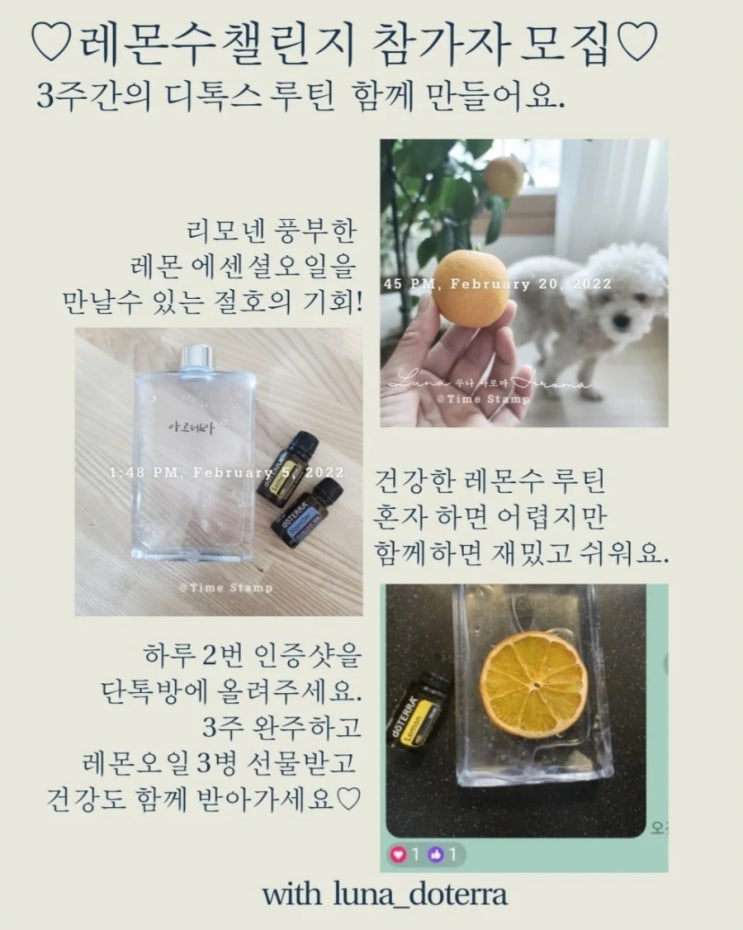 건강한 디톡스습관 함께 만들어요레몬수챌린지 참가자 모집모집완료 네이버 블로그