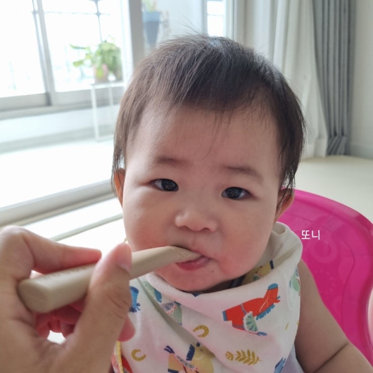 초보 엄마가 선택한 10개월 아기 시판 이유식 배냇밀 솔직 후기 네이버 블로그