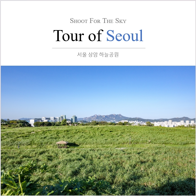 서울 가볼만한곳 데이트하기 좋은 가을 여행지 상암 하늘공원 네이버 블로그