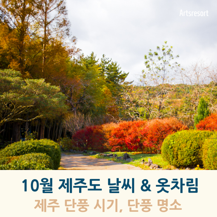 10월 제주도 날씨 And 옷차림 ㅣ 제주도 가을여행 제주도 단풍 시기 단풍 명소 알려드려요 네이버 블로그