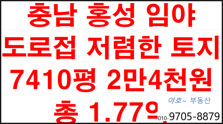 충남 홍성 싼 임야 24000원씩 7410평 총 177억 신평저수지옆 부동산 토지 투자 땅 매매 충남 홍성군 장곡면 신평리 산
