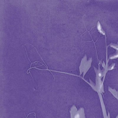 Giveon - Tryna Be 가사/해석/번역 : 네이버 블로그