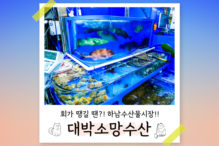 하남 수산시장 신선하고 센스있는 하남회센터 대박소망수산 네이버 블로그