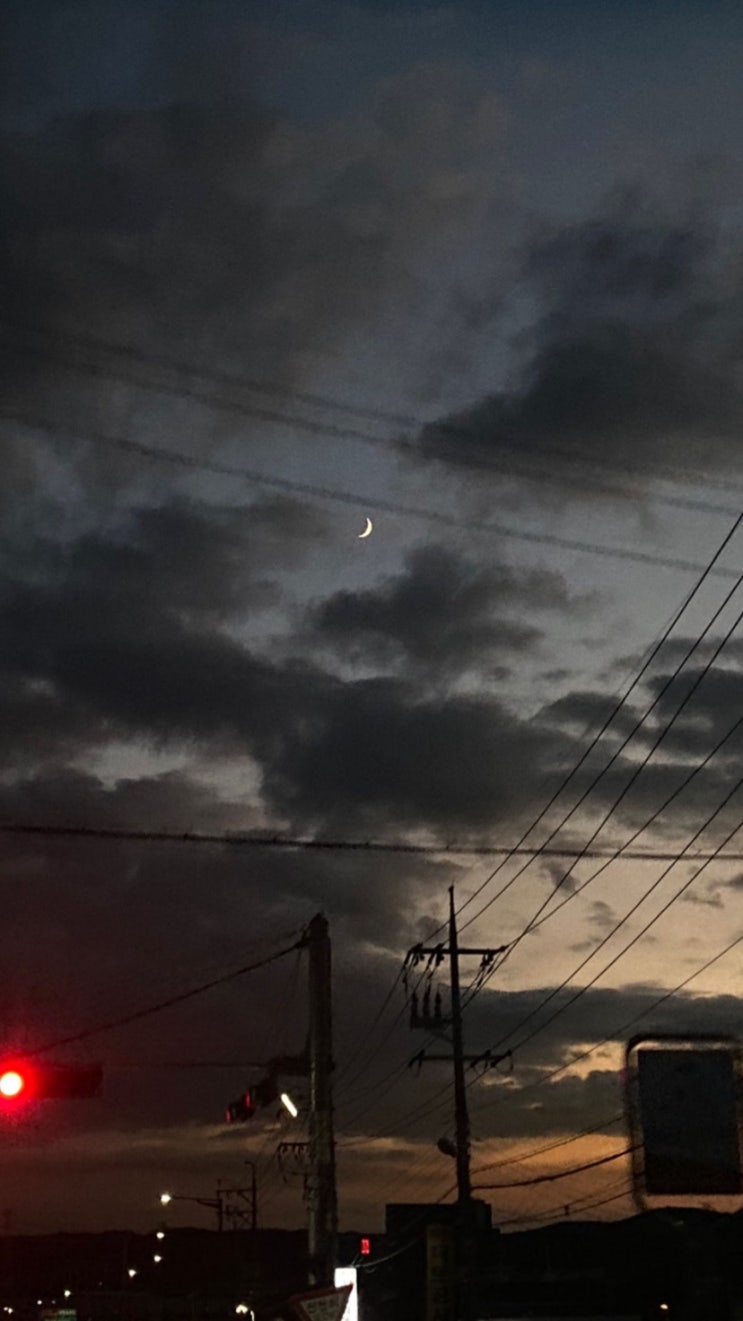 가을이 오다말다 : 네이버 블로그