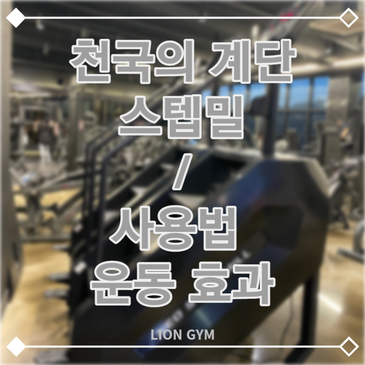 라이언짐 양벌점 양벌리 헬스장 천국의 계단 스텝밀 스텝밀 운동법 천국의 계단 운동법 천국의 계단 사용법