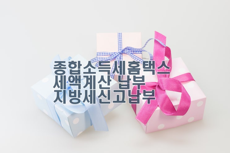 세무 종합소득세 홈택스 직접신고방법12 세액계산 납부 지방세 네이버 블로그