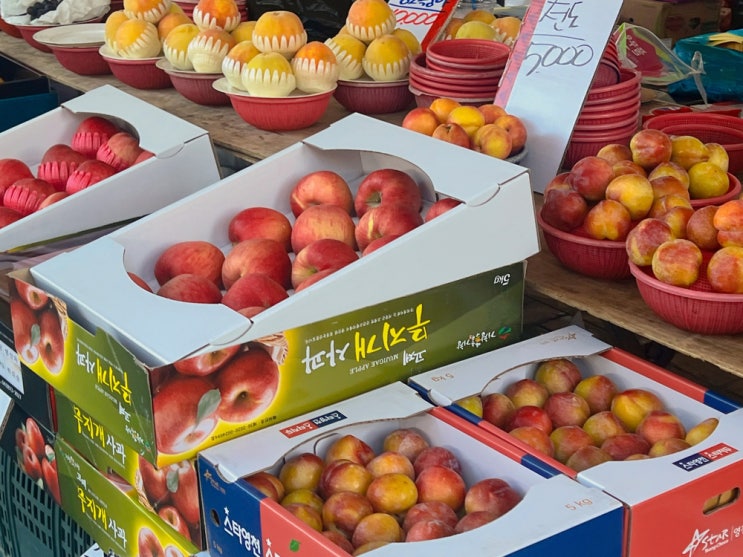 추석장보기 경기도 양평오일장에서 먹거리준비는 5일장 전통시장에서 서울근교가볼만한곳 : 네이버 블로그