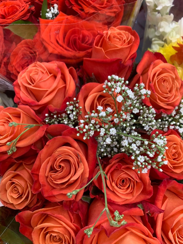 주일예배대표기도(9월 셋째주) : 네이버 블로그