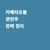 카메라모듈 관련주 캠시스 오디텍 옵트론텍 퓨런티어 세코닉스 엠씨넥스 파트론 액트로 해성옵틱스 자화전자 주가 전망 네이버 블로그