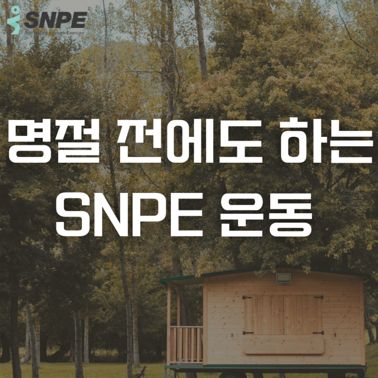 명절 전에도 SNPE 운동은 필수! (경성대 필라테스, 대연동 필라테스 ,부산SNPE) : 네이버 블로그