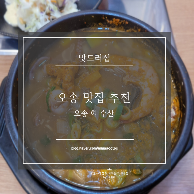 오송 점심 추천 오송 룸식당추천 물회 해물뚝배기 맛집 돈방석선운산풍천장어 오송회수산 네이버 블로그