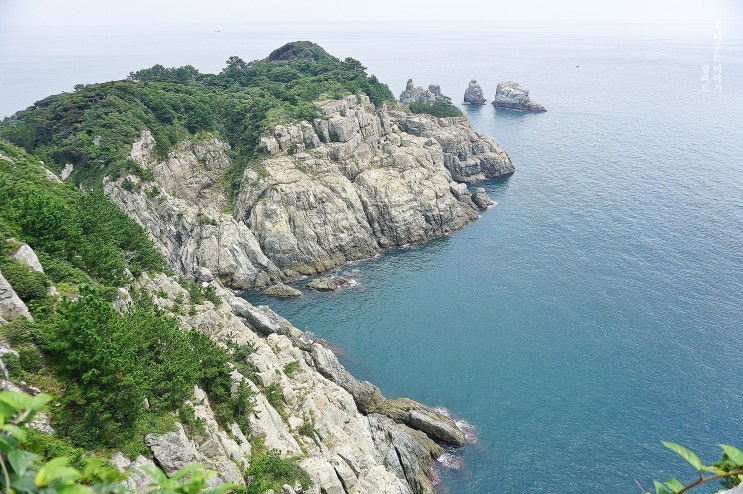 거제 외도 보타니아 해금강 유람선 투어 가격입장료예약 네이버 블로그