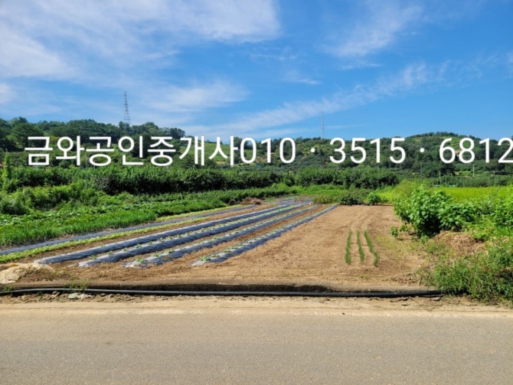 청도급매 전윈주택지 화양읍성인근1132m²(342평)2억2230만 청도IC6분 대구가창팔조령10분 : 네이버 블로그