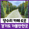 양수리 카페 추천 7곳 양평두물머리 힐링카페 네이버 블로그