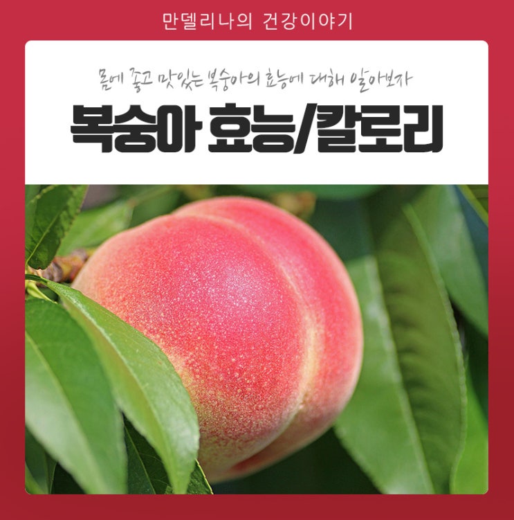 복숭아 및 복숭아 껍질 효능과 칼로리 And 복숭아 씻는법과 보관법 네이버 블로그