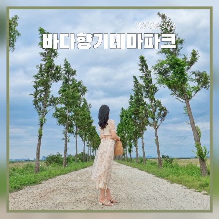 대부도 가볼만한곳 산책하기 좋은 바다향기 테마파크 네이버 블로그
