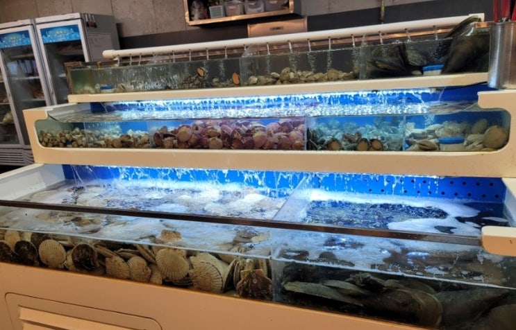 대구조개창고 현풍맛집 무한리필 조개구이 가성비갑 테크노폴리스맛집 대구가볼만한곳 네이버 블로그
