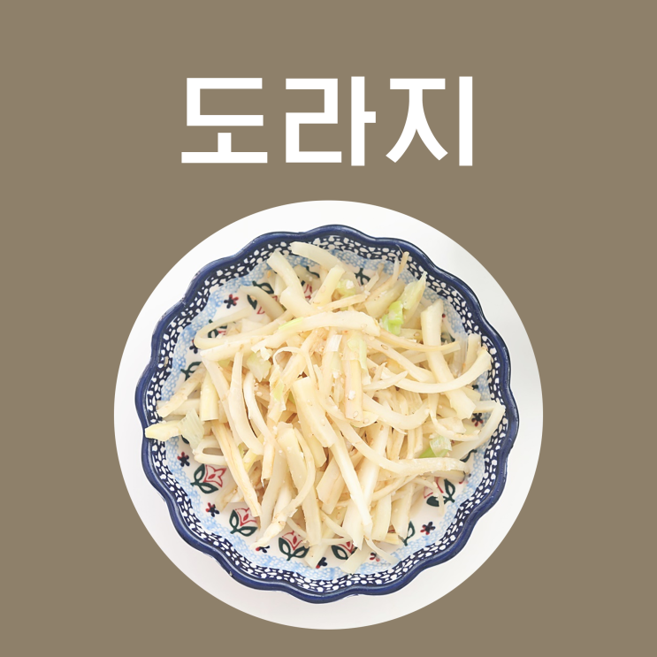 도라지 효능 산도라지 슈퍼 약 백도라지 도라지즙 청 배즙 가루 정과 절편 효과 부작용 네이버 블로그