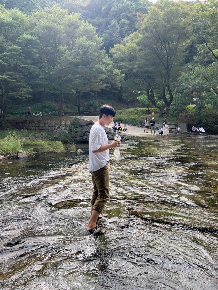 공주 가볼만한 곳 마곡사 대전 세종 드라이브코스 추천 계곡이 흐르고 자연이 좋은 절 마곡사 방문 후기위치 주차