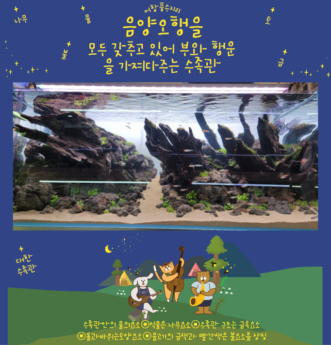 어항풍수지리왜집에수족관을두어야하는가? : 네이버 블로그