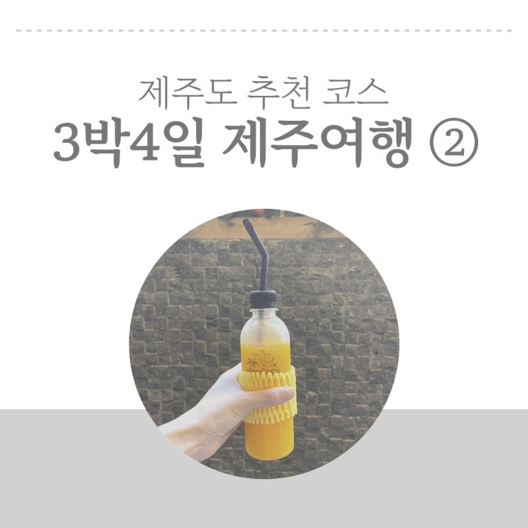 제주 가볼만한곳 3박4일 제주여행 코스 2일차 금능해수욕장 아르떼뮤지엄 제주 순천미향 사계해변 원앤온리 더