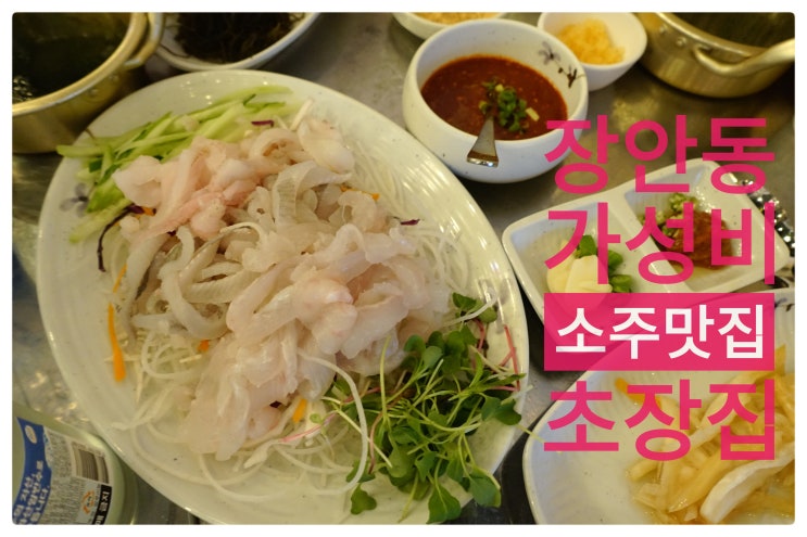 장안동횟집 초장집 장안점 가성비 장안동맛집 추천 레트로 장한평역술집 네이버 블로그