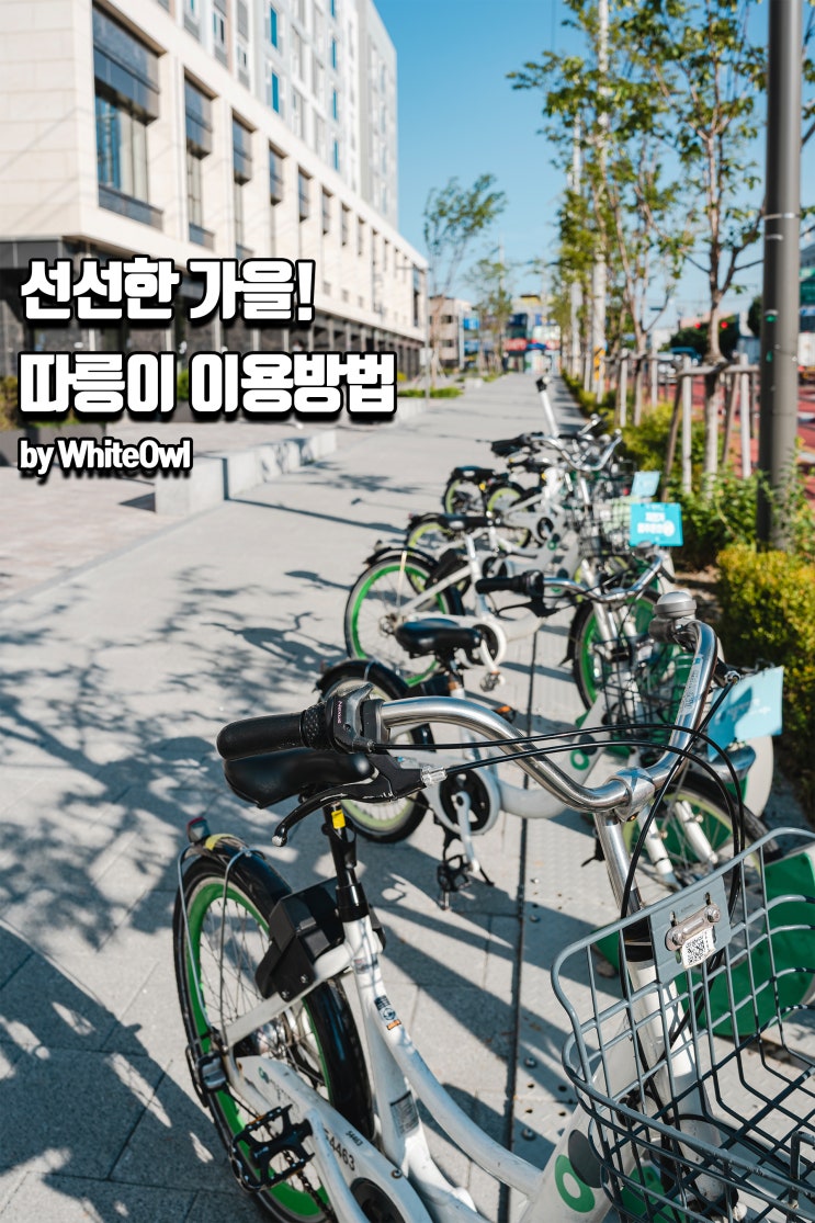 선선한 가을 자전거 타기 좋은 요즘 따릉이 이용방법 대여 반납 및 임시잠금 네이버 블로그
