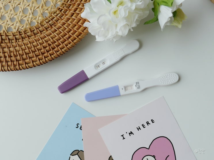 임신극초기증상 냉 두통 설사 아랫배통증 착상혈시기생리차이 네이버 블로그