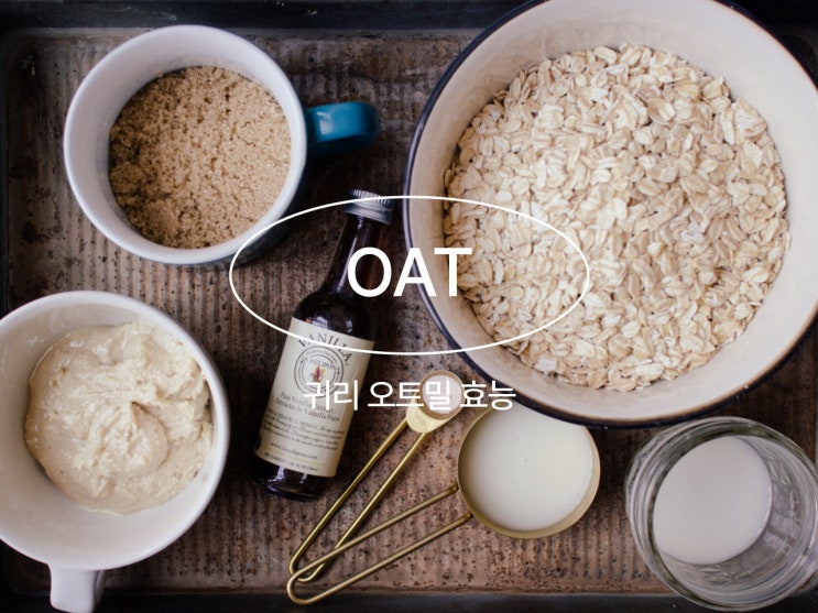 귀리효능 오트밀 효능 영양성분 칼로리 먹는법 총정리 네이버 블로그