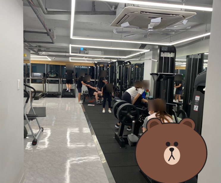 비타민의 기능 비타민의 종류 머슬베어 신길점 신길pt 신길동pt 도림동pt 신풍역pt 네이버 블로그
