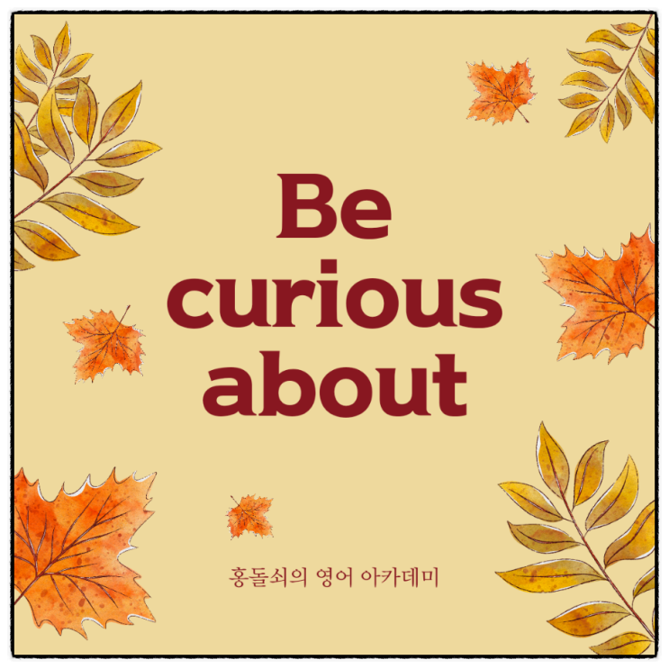 be curious about 영어 표현, 호기심을 가지다 : 네이버 블로그