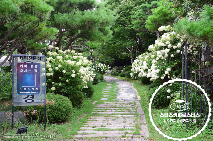 청주카페 정상동 유럽수국 숲길따라 스티즈커피로스터스 네이버 블로그