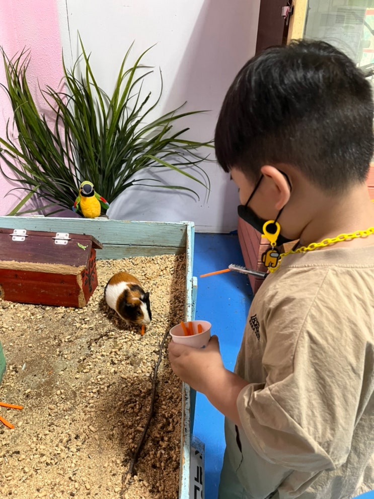 아르떼 수성랜드 7세 아이 놀기 좋아요 : 네이버 블로그