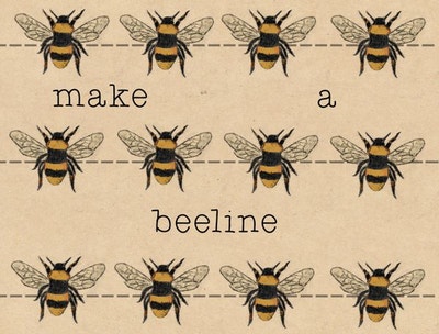 영어공부 :: Make a beeline : 네이버 블로그