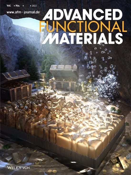 Wiley_ADVANCED FUNCTIONAL MATERIALS 논문 삽화, 논문이미지,저널이미지,논문삽화이미지,sience ...