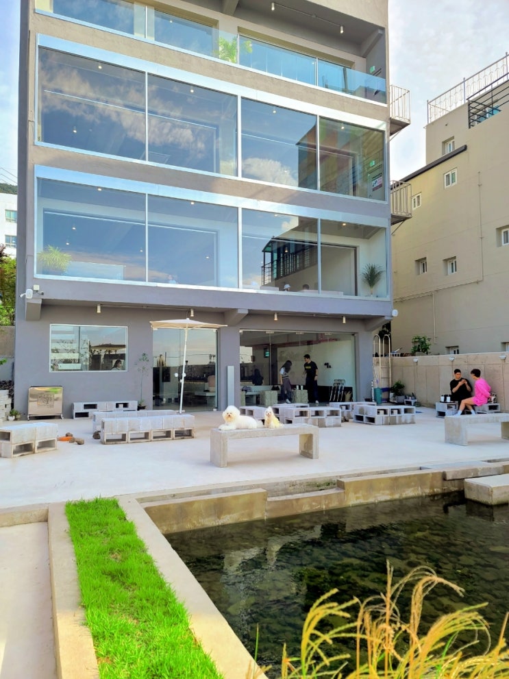 부산 사상 학장 | 오르디 ORRD | 실내 애견동반 대형카페 | 솔직후기 : 네이버 블로그