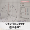 오쏘코리아 두상 교정 아기헬멧 1달 착용 후기 할인코드 사례있음 네이버 블로그