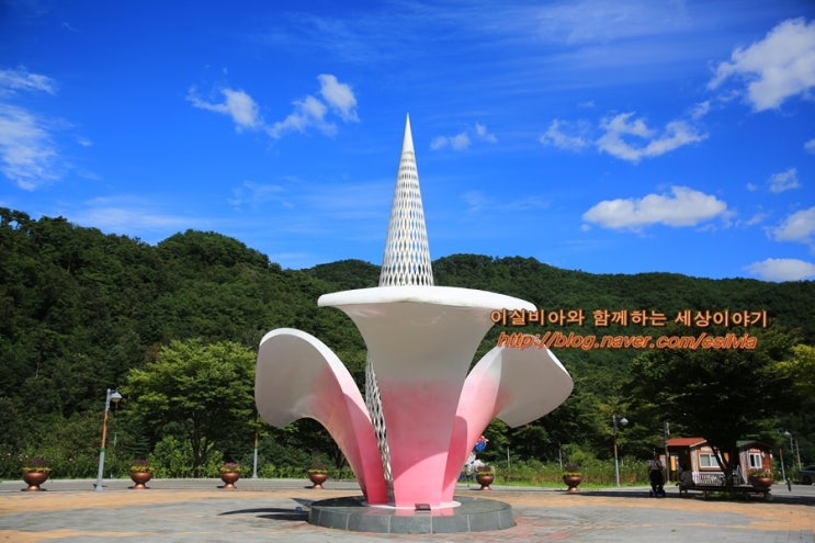 강원도 여행 홍천 가볼만한곳 무궁화수목원 힐링 데이트 네이버 블로그