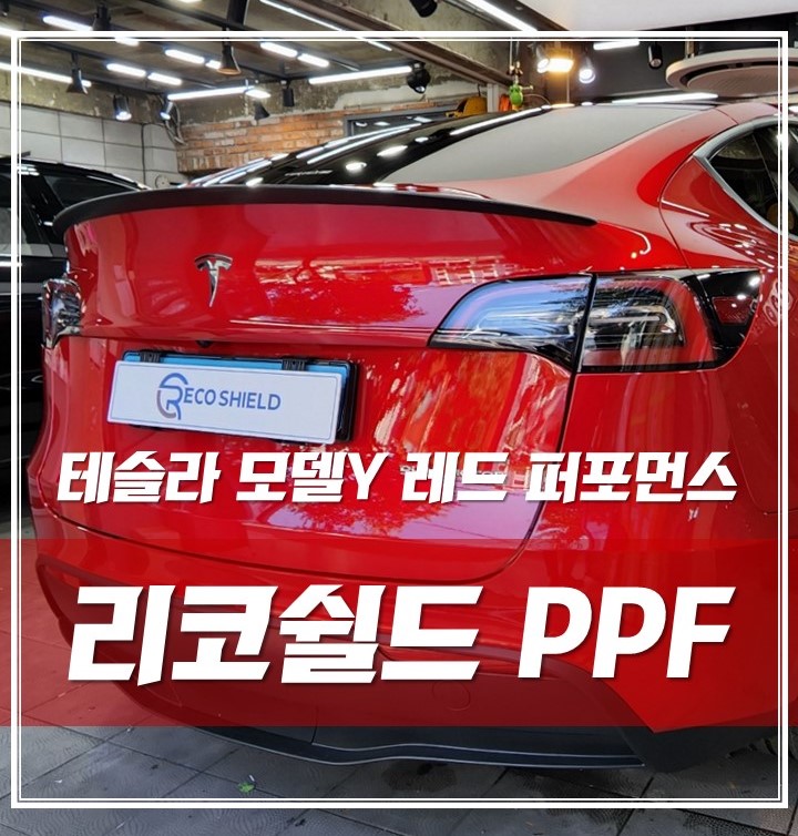 테슬라 모델y 퍼포먼스 레드멀티코트 풀ppf로 약한 도장면 보호하기 네이버 블로그
