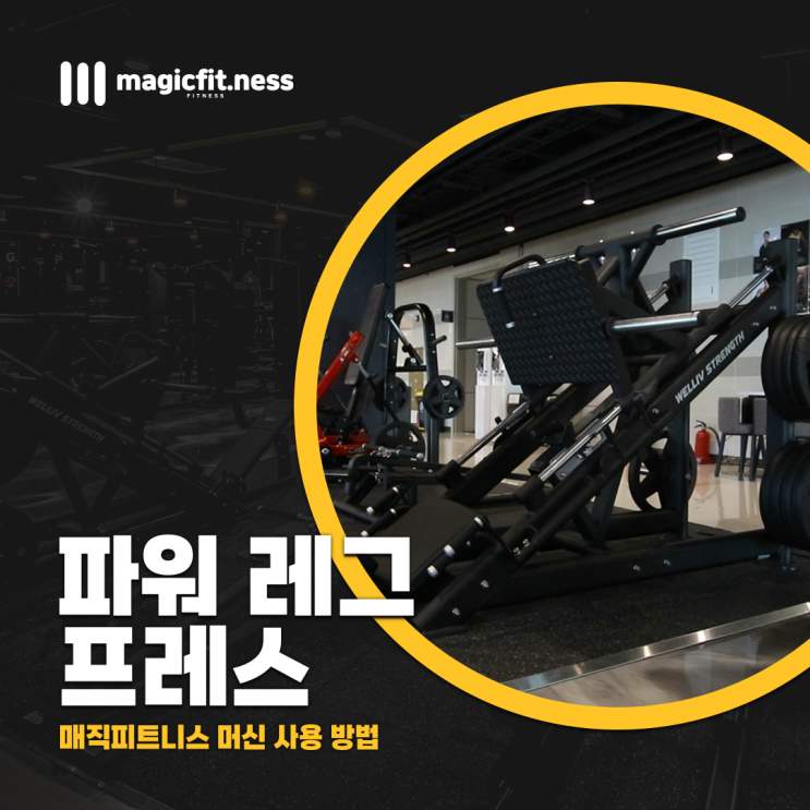 근력운동 기구소개 파워 레그 프레스 사용 방법 네이버 블로그